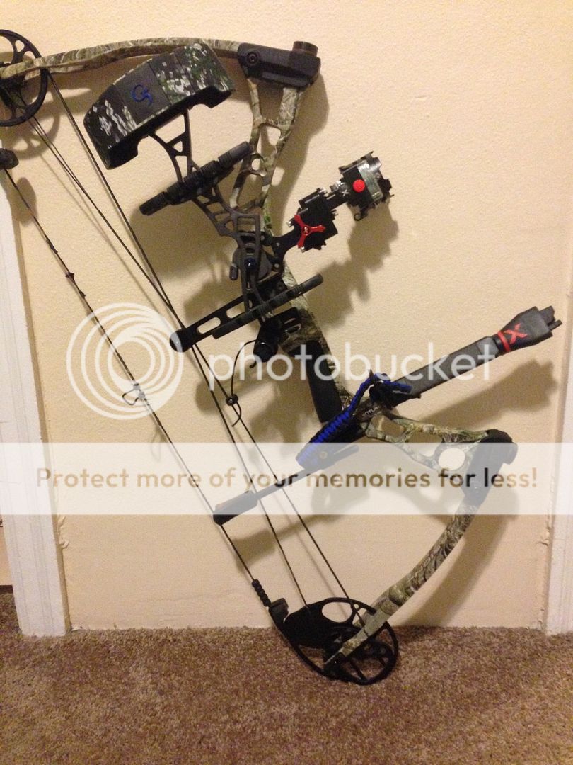 Single pin vs muti pin for a beginner | Archery Talk Forum