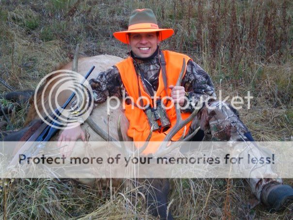 Elk .... Let's see them!!! | Hunt Talk